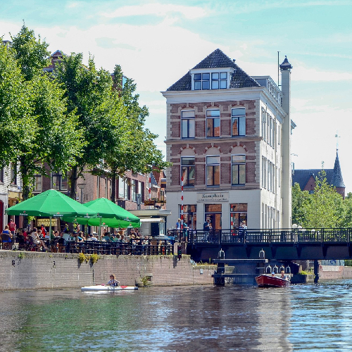 TIO University of Applied Sciences (Groningen) - Courses