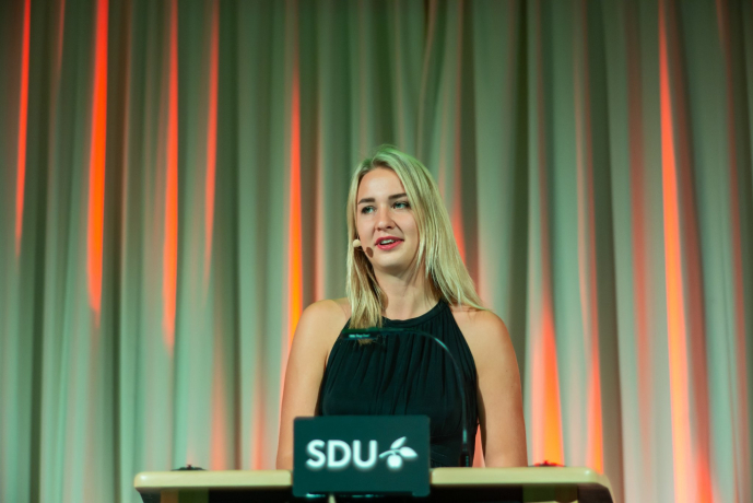 University of Southern Denmark (SDU Odense) - Studies