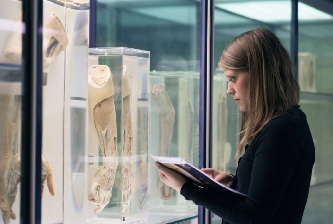 University of Southern Denmark (SDU Sonderborg) - Studies